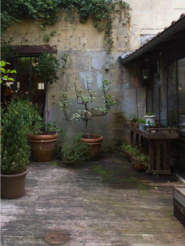 Shopper's Diary: Ambre Garden Shop in Cognac, France - Gardenista Web ...