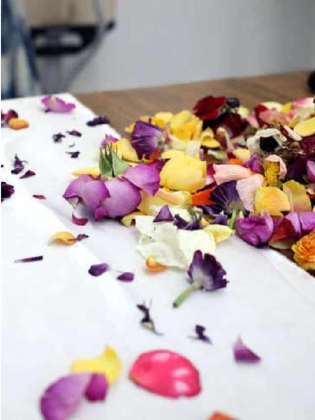 Shopper's Diary: Natural Flower Dyes and Silk Scarves, from Cara Marie ...