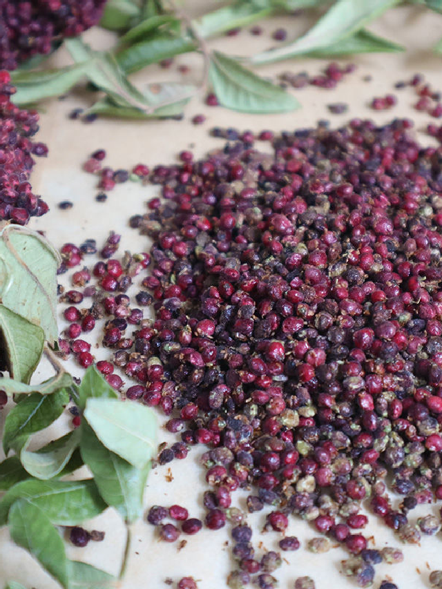 Sumac Spice: How to Forage for the Autumn Fruit and Make Your Own Web ...