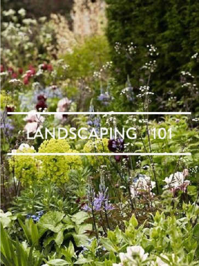 Table of Contents: Landscaping 101 - Gardenista Web Story - Gardenista