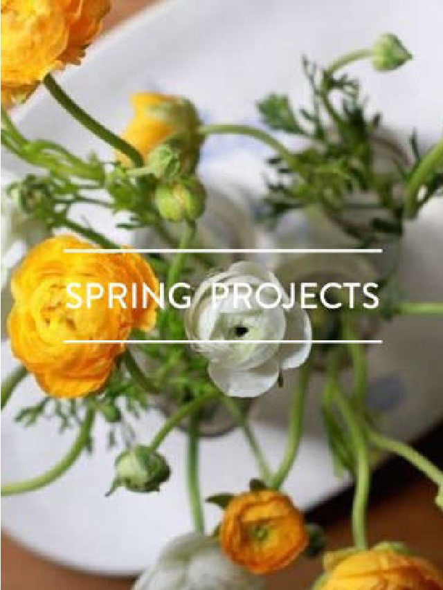 Table of Contents: Spring Projects - Gardenista Web Story - Gardenista