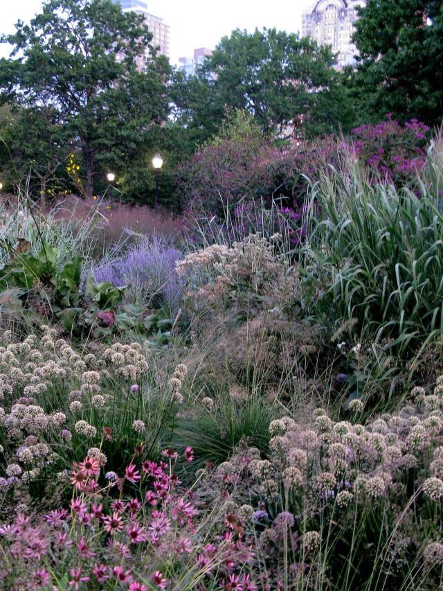 Warrie Price, On The Battery's Sustainable Landscape Design Web Story ...
