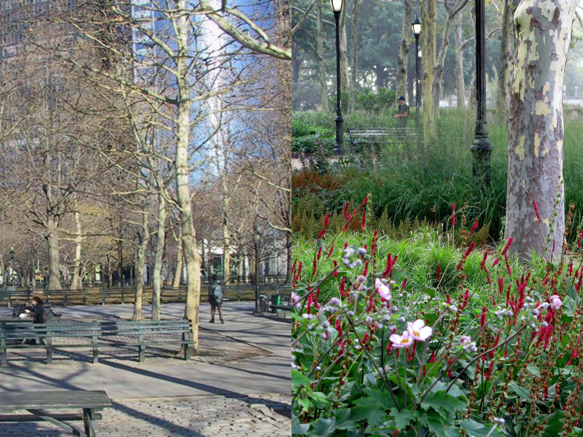 Warrie Price, On The Battery's Sustainable Landscape Design