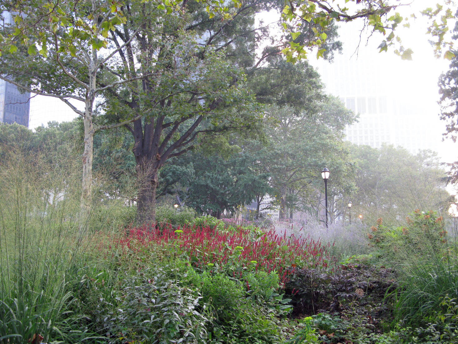 Warrie Price, On The Battery's Sustainable Landscape Design