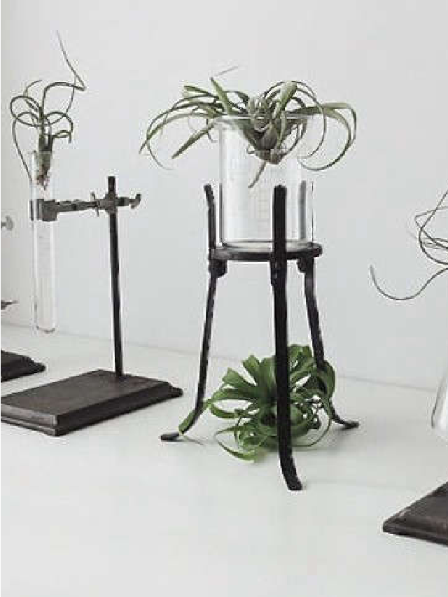 10 Easy Pieces: Labware Plant Stands - Gardenista Web Story - Gardenista