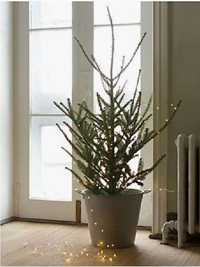 A Christmas Tree by Post - Gardenista Web Story - Gardenista