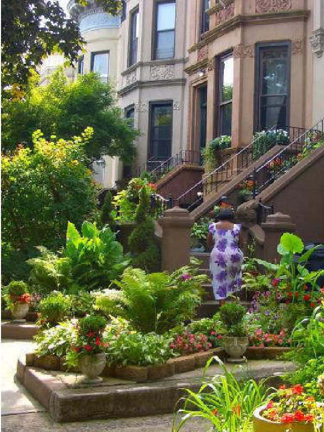 Best of Brooklyn: The Winner Is... - Gardenista Web Story - Gardenista