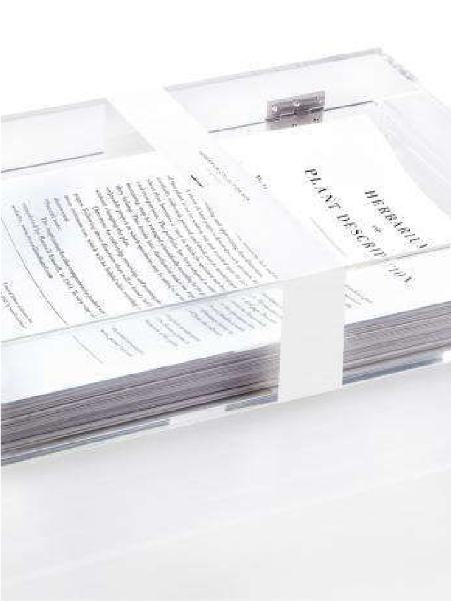 Calling All Botanists: Herbarium Collection Box - Gardenista Web Story ...