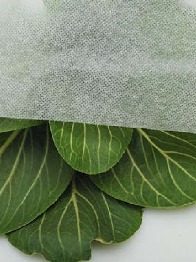 DIY: Performance Fleece for Your Fruit Trees - Gardenista Web Story ...
