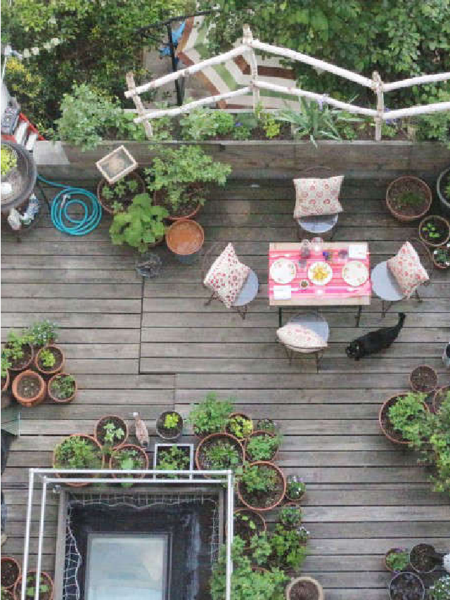 Garden Visit: 66 Square Feet (Plus) on a Harlem Terrace - Gardenista ...
