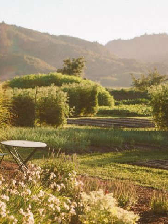 Garden Visit: The French Laundry in California's Napa Valley ...