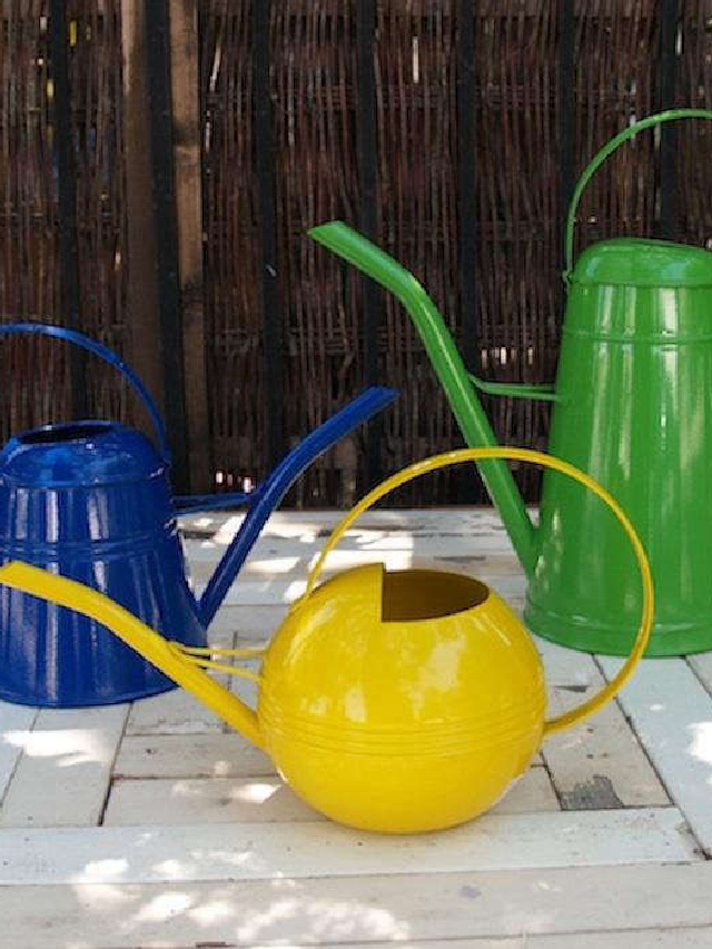 Metal Watering Cans in Primary Colors - Gardenista Web Story - Gardenista