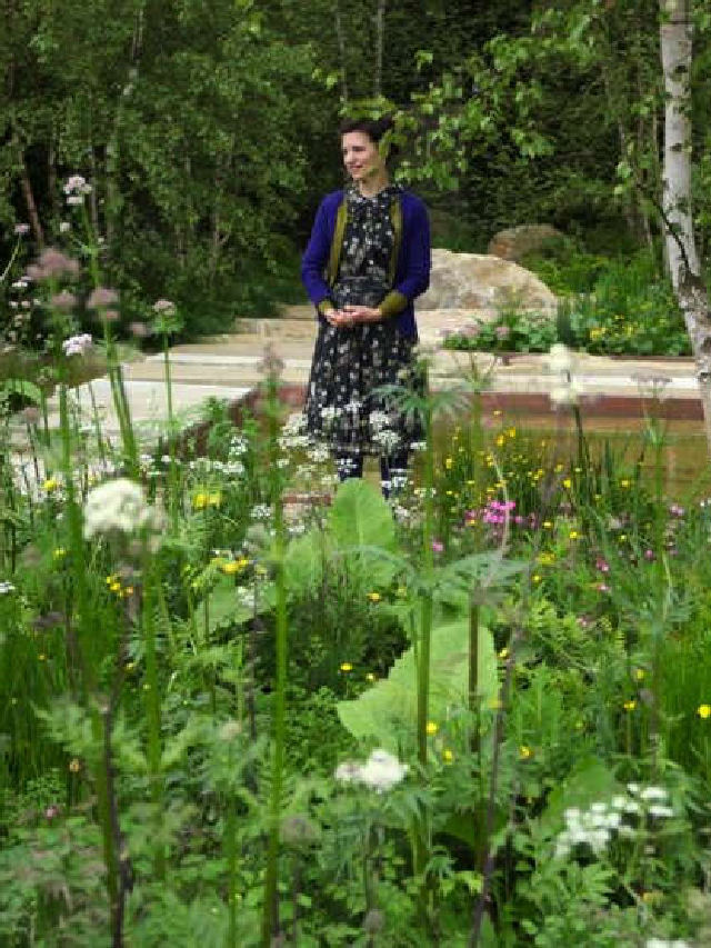 Ravishing Wildflowers at the Chelsea Flower Show - Gardenista Web Story ...