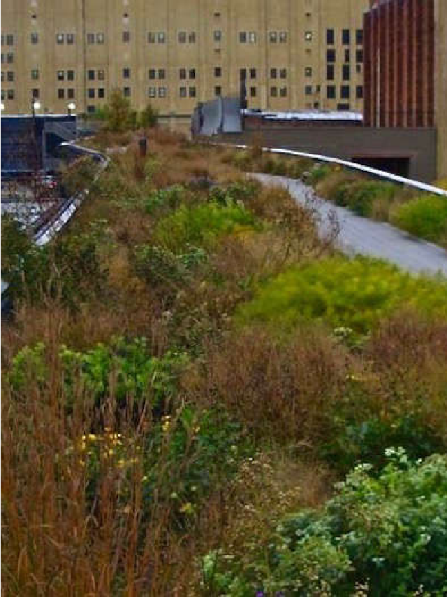 Secrets to Surviving a Hurricane: NYC's High Line Park - Gardenista Web ...