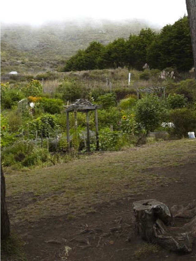 Slide Ranch, at the Edge of the World - Gardenista Web Story - Gardenista