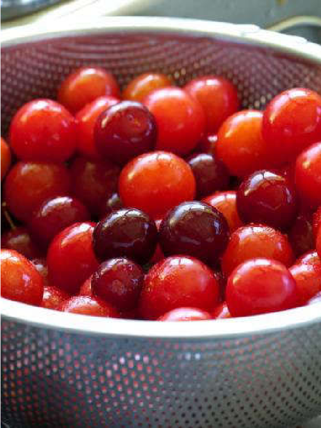 Stalking the Wild Plum in Northern California - Gardenista Web Story ...