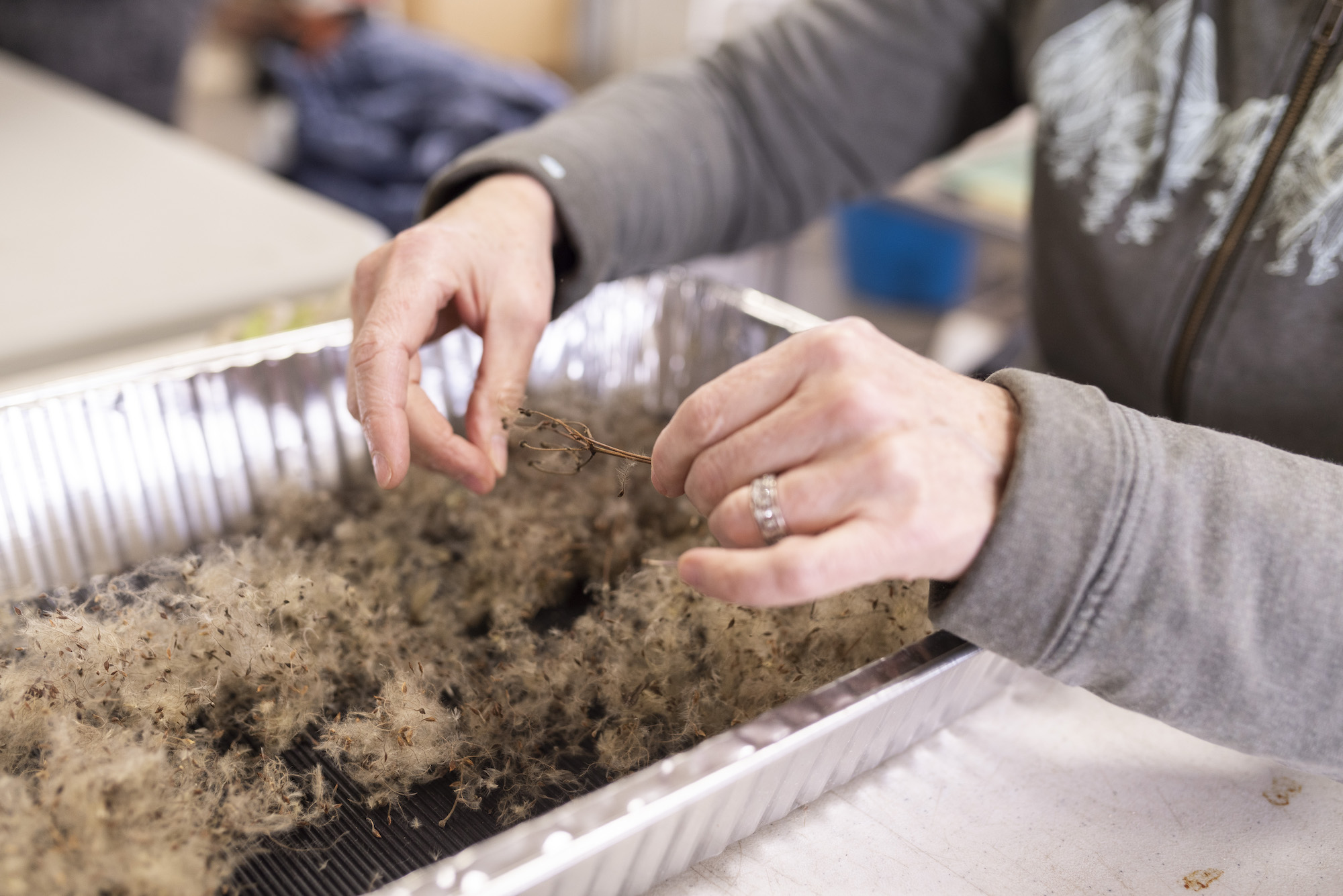 Hilltop Hanover Farm: Saving Local Native Seeds for a Resilient Future