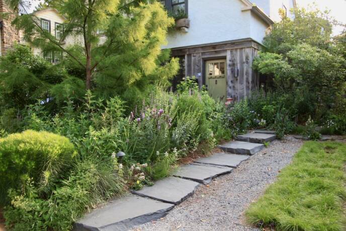 Garden Design to Help Absorb Stormwater and Prevent Flooding