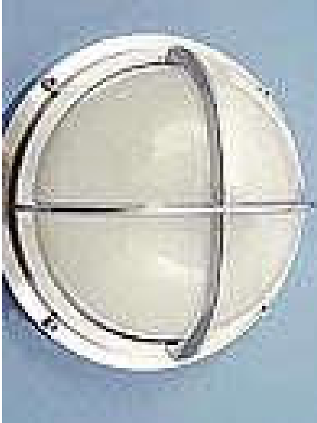 10 Easy Pieces: Outdoor Bulkhead Lighting - Remodelista Web Story ...