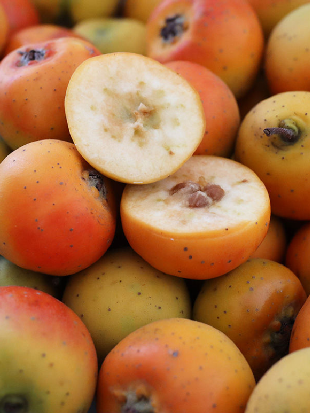 Tejocote: All About the fruit of a Mexican Species of Hawthorn Web ...