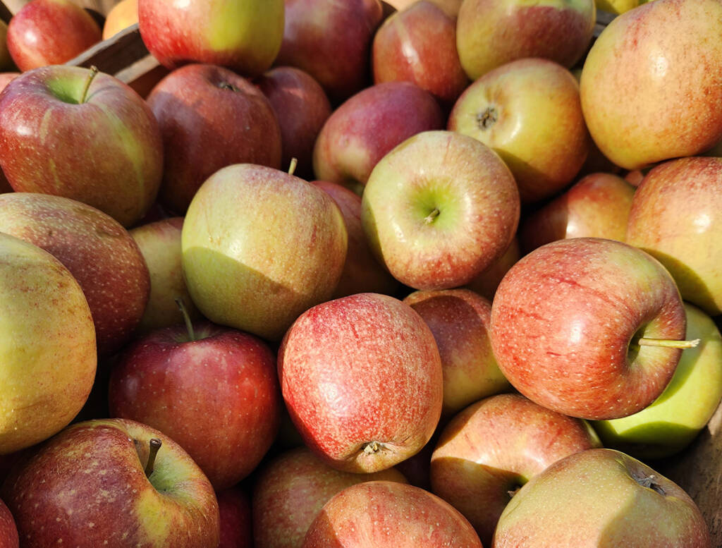 Baked Stuffed Apples with Raisins and Cinnamon Recipe