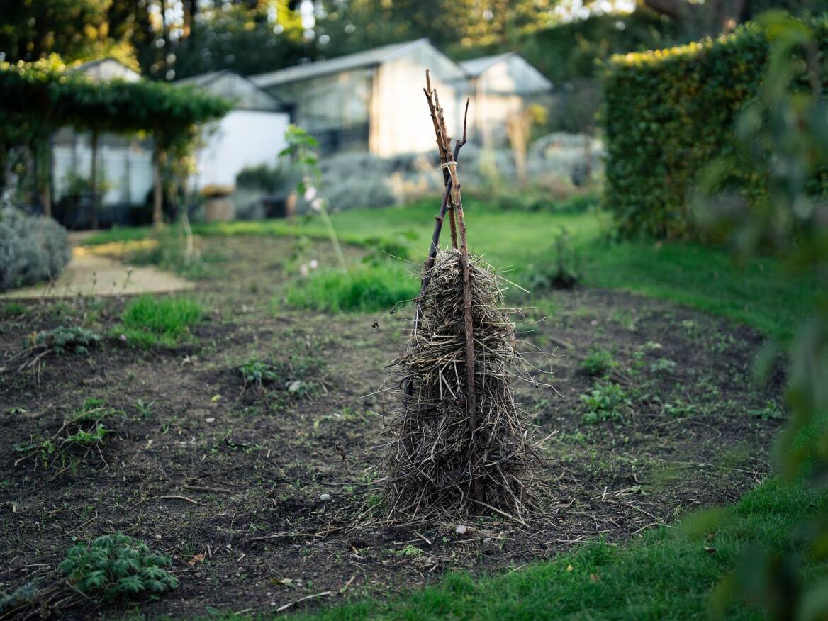 The Bug Snug: An Easy DIY Insect Habitat by OmVed Gardens