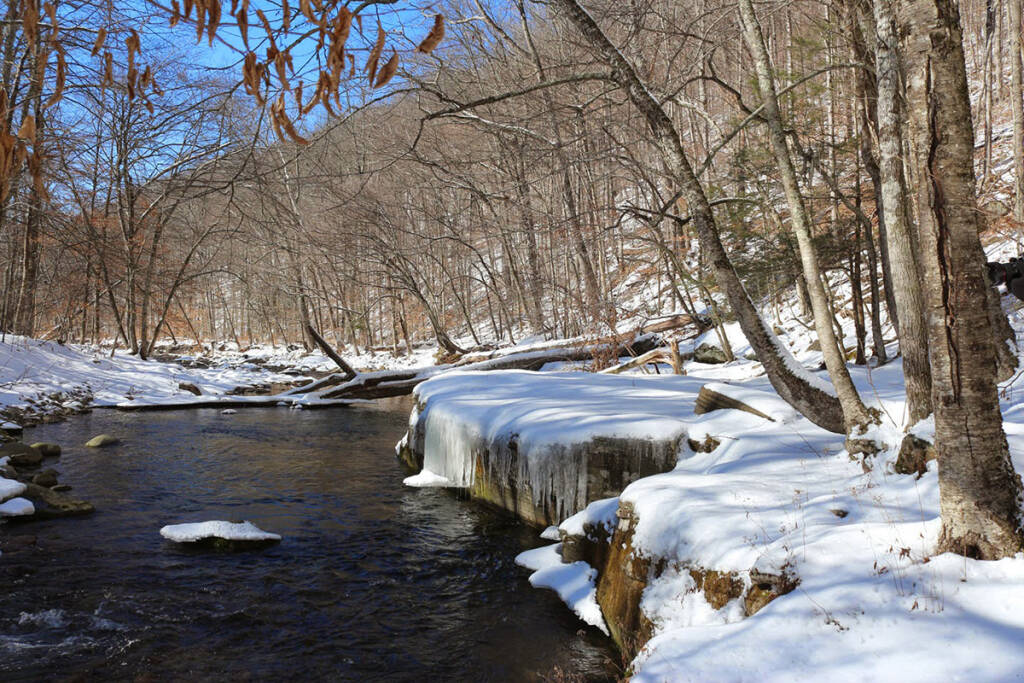 Winter Walks:15 Reasons to Experience Unexpected Benefits