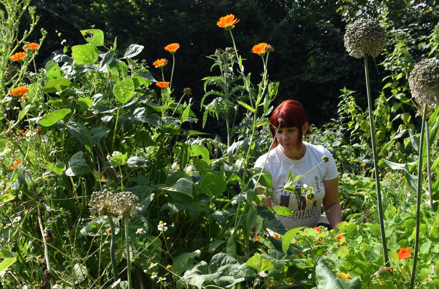 Kim Stoddart on The Climate Change-Resilient Vegetable Garden