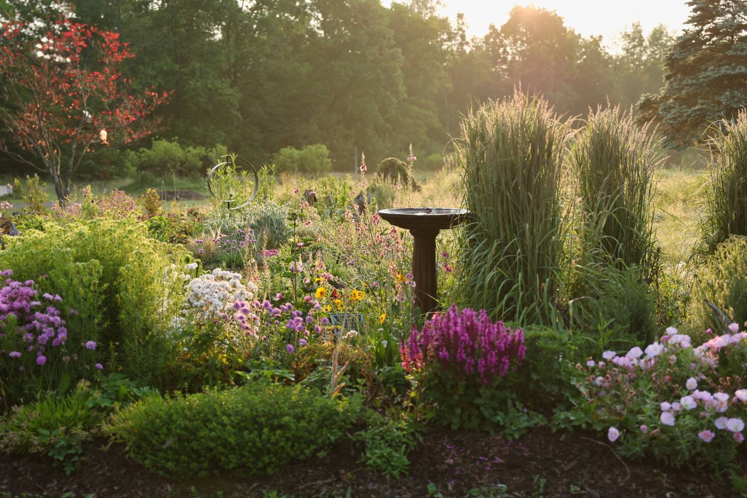 Summer Rayne Oakes: The Plant Educator Shares Her Plant Wisdom