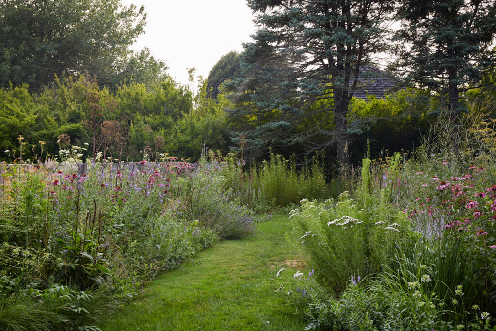 Favorite Native Plant Combinations: Experts Share the Best Plant Pairings
