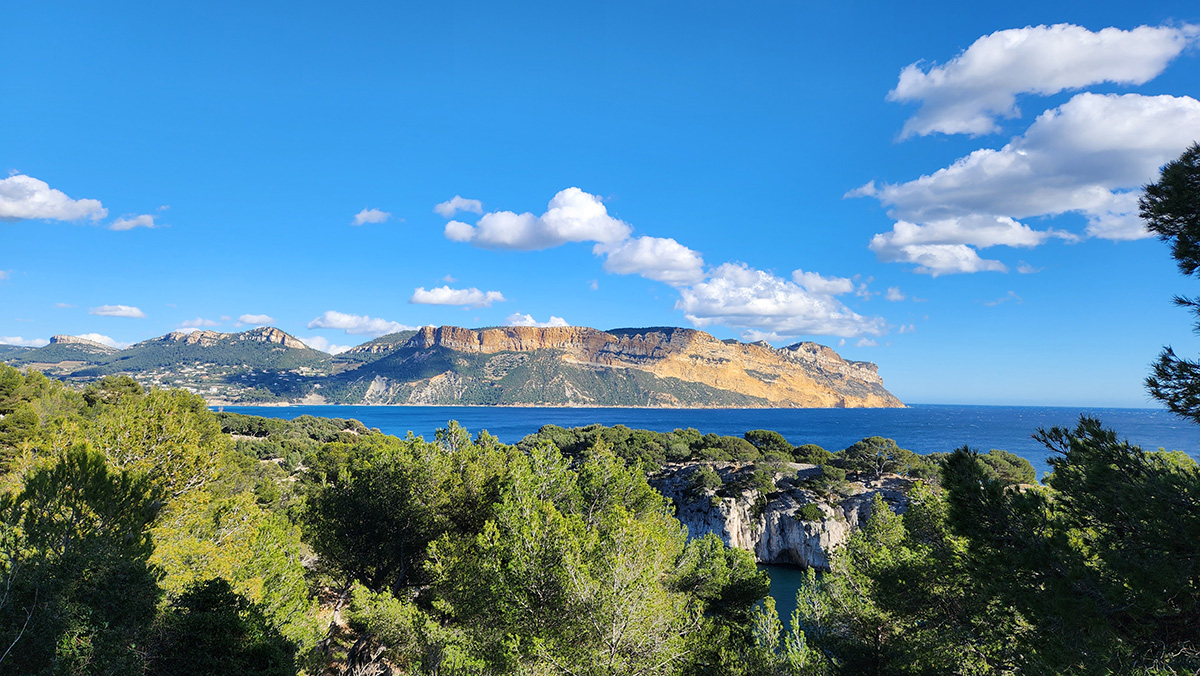 The Calanques in France: A Geographical and Botanical Wonder