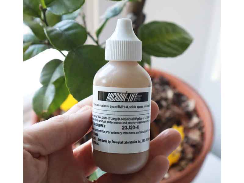 MICROBE-LIFT BMC Biological Mosquito Control