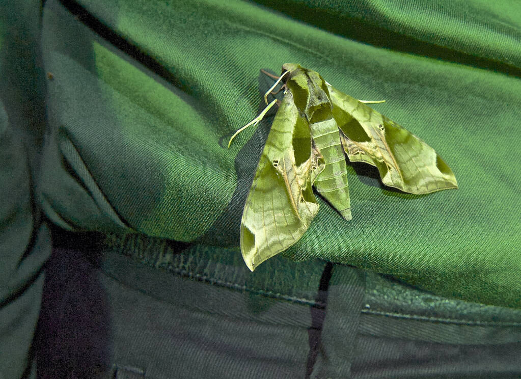 Quick Takes with Margaret Roach: An Interview with the Garden Writer