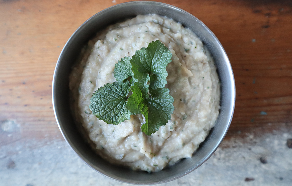 Mugwort in the Spring: An Edible and Tender Delicate Herb