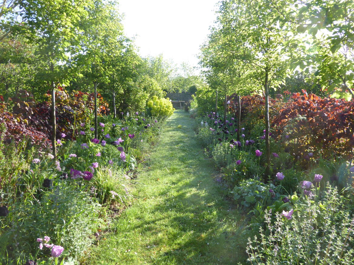 A Garden from Scratch: How to Choose the Plants and Put Them Together