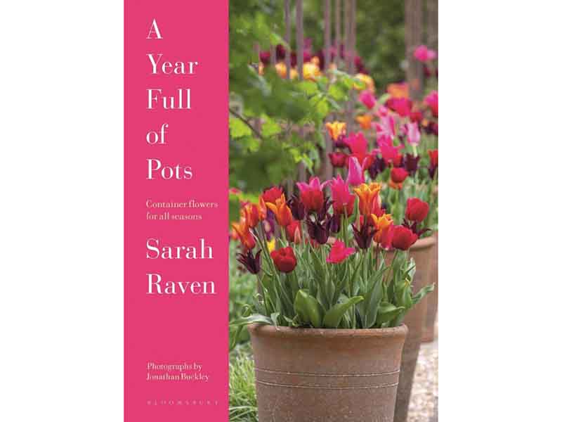 A Year Full of Pots: Container Flowers for All Seasons