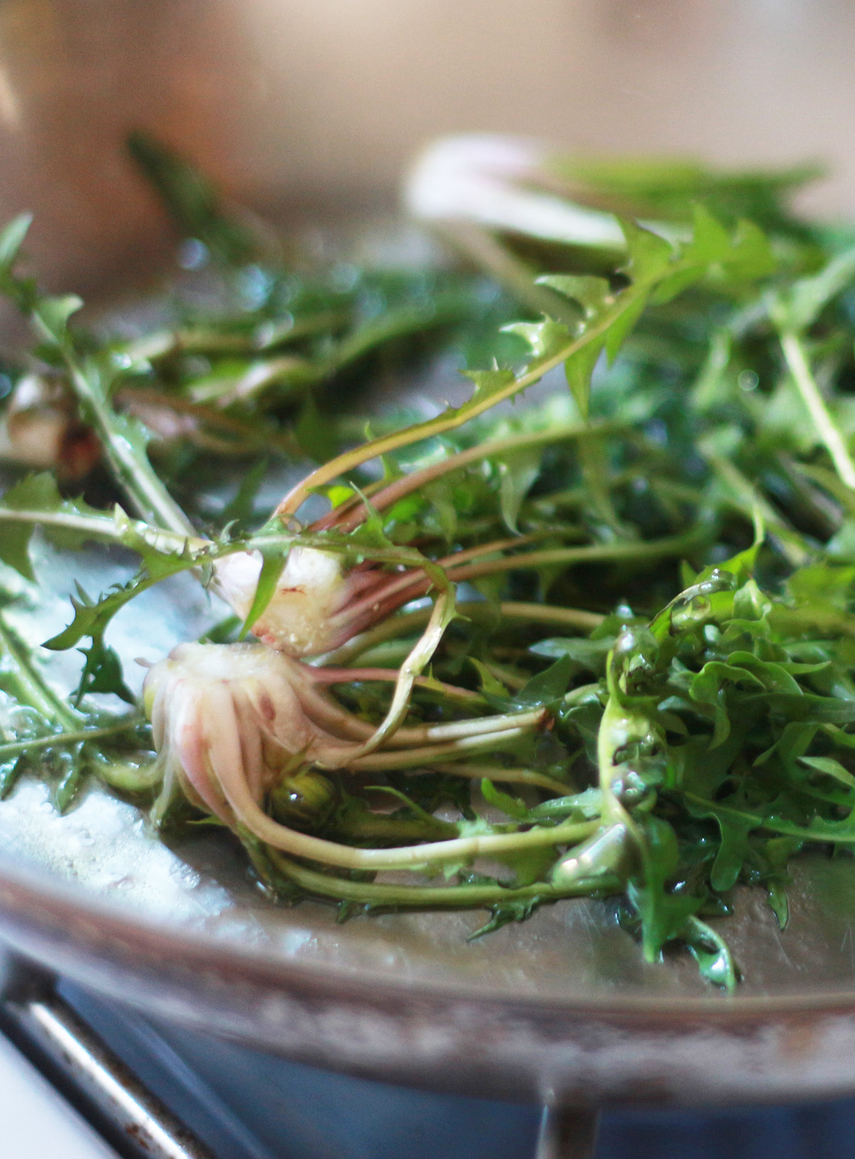 Dandelion Recipes: Delicious Served as a Wilted Side or in a Salad
