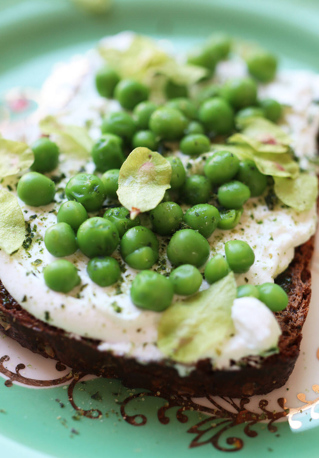 Elm Samara: Recipes Using the Tree's Edible, Winged Seeds