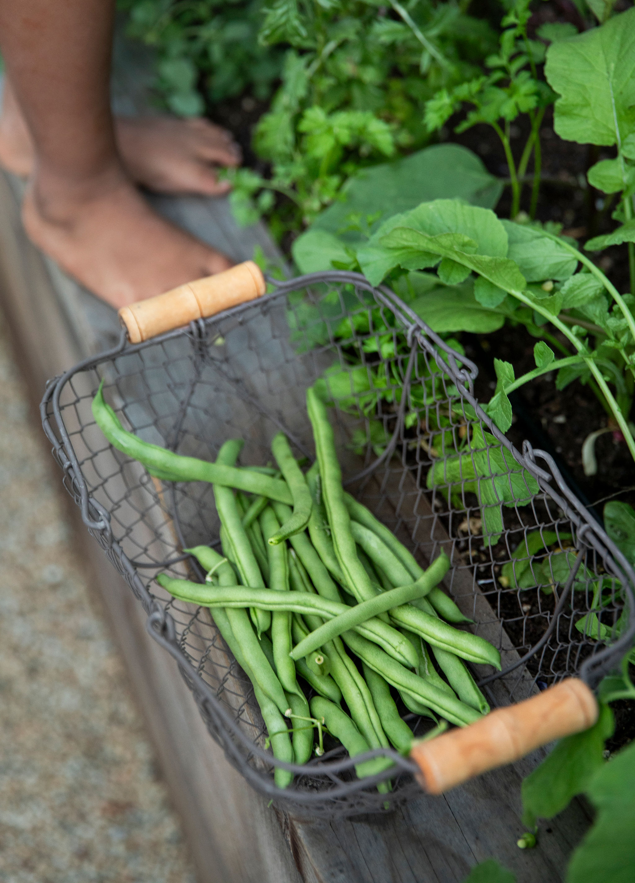Leslie Bennett: An Interview with the Founder of Pine House Edible Gardens