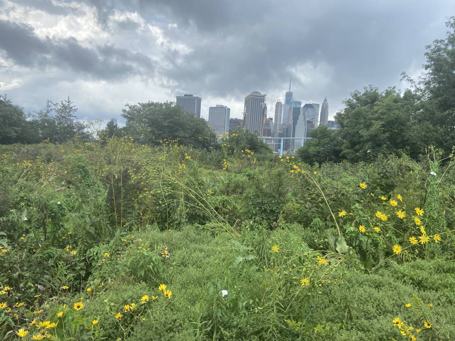 Rashid Poulson of Brooklyn Bridge Park on Spring Gardening Chores