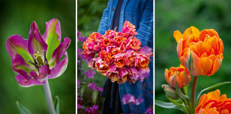 Sarah Raven's 'A Year Full of Pots': 5 Ideas to Steal from Her New Book