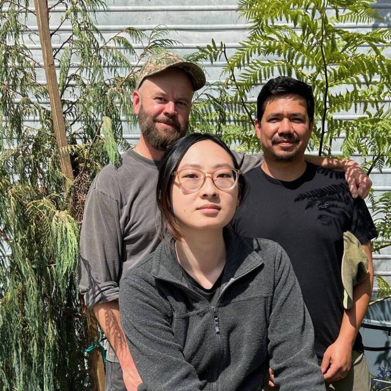 Trap Crops: The Best Plants to Grow to Keep Pests Away from Your ...