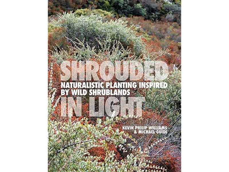 Shrouded in Light: Naturalistic Planting Inspired by Wild Shrublands