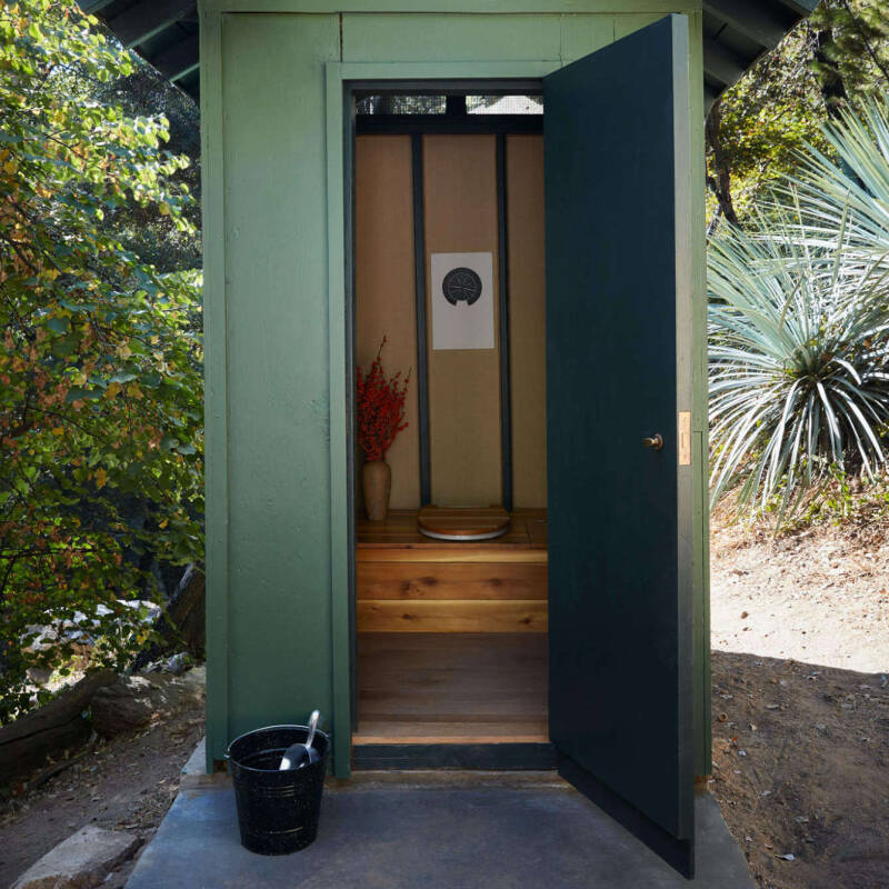 Ramial Mulch: Pros and Cons of Mulching with Ramial Wood Chips