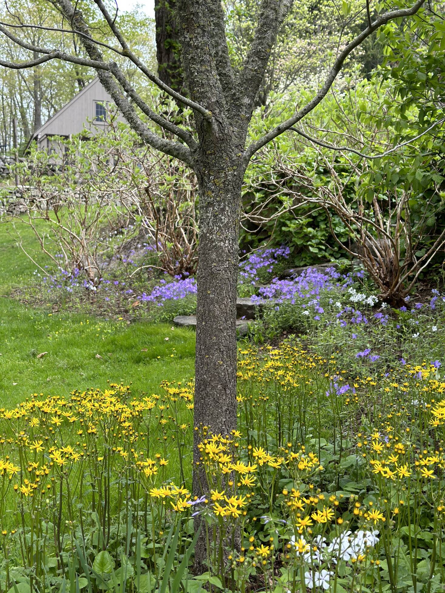 Circular Economy Gardening: How to Close the Loop in Your Landscape