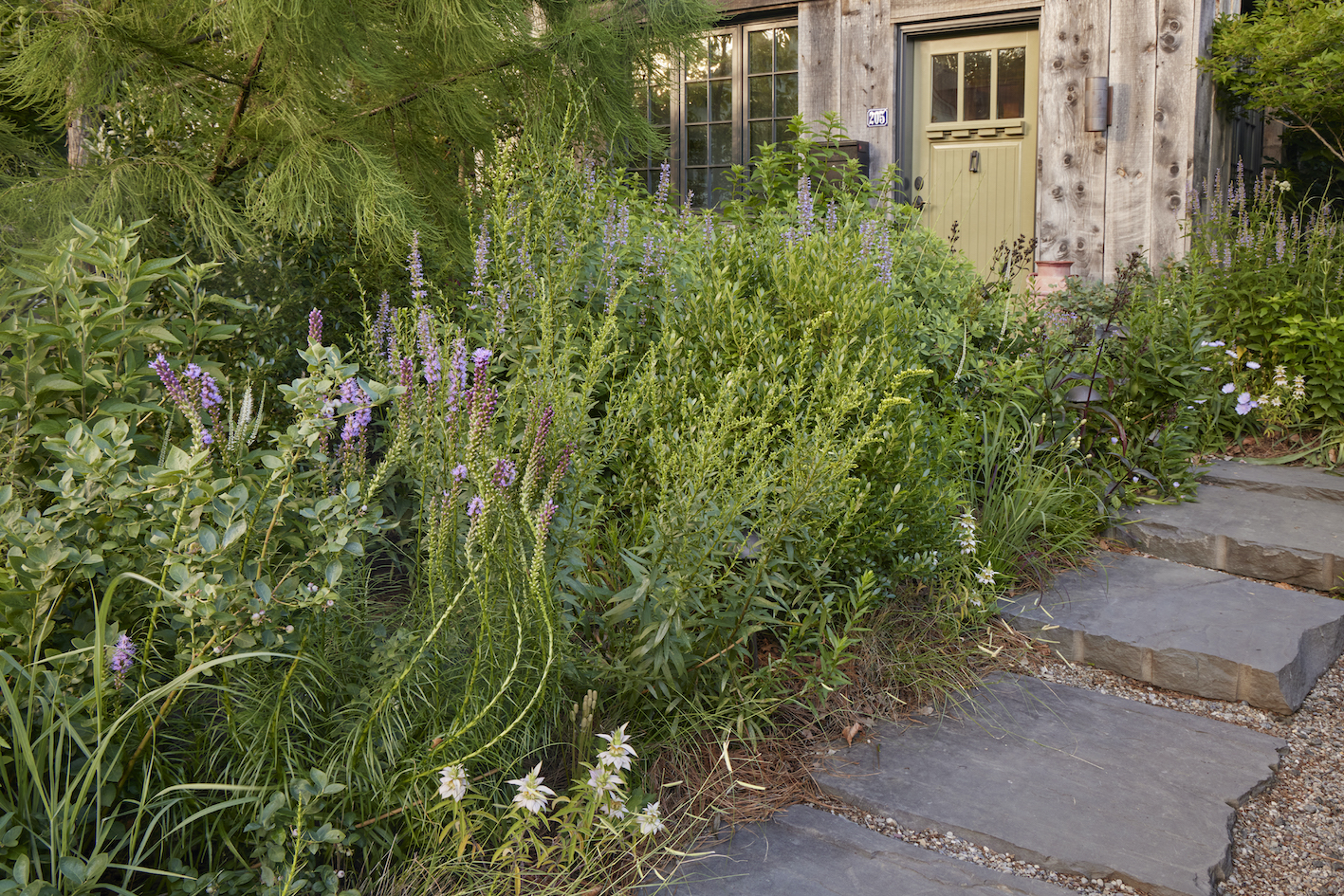 Lawn-Free Front Yard Ideas: 10 Tips from 'Gardenista: The Low-Impact ...