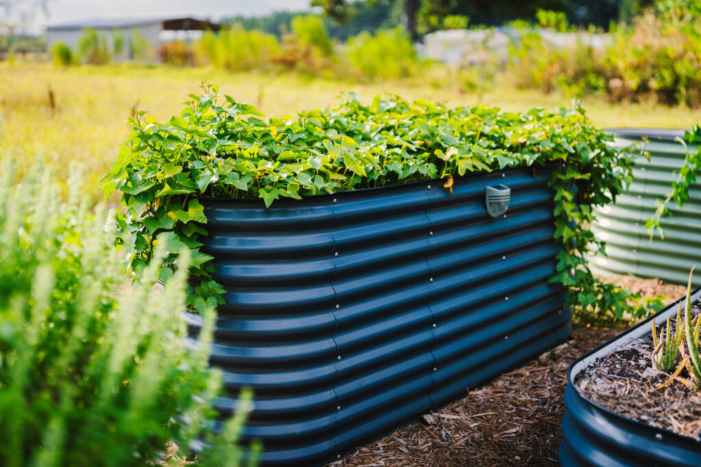 Vego Garden's Raised Beds and Planters Are Stylish, Sustainable, and ...