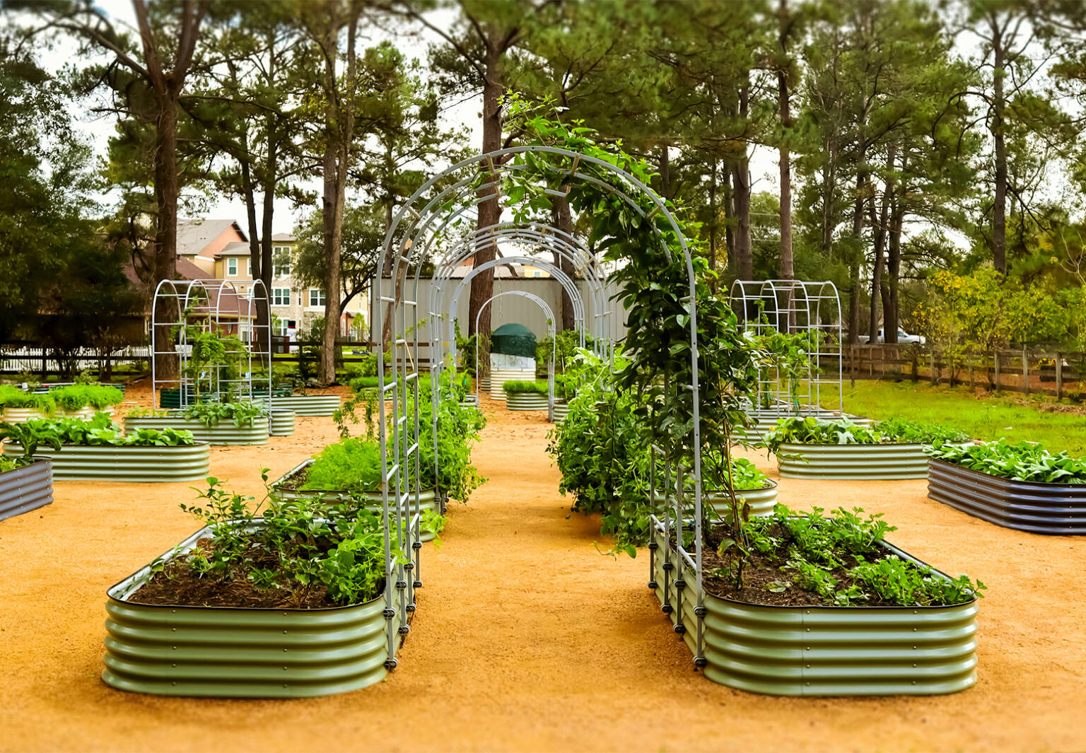 Vego Garden's Raised Beds and Planters Are Stylish, Sustainable, and ...