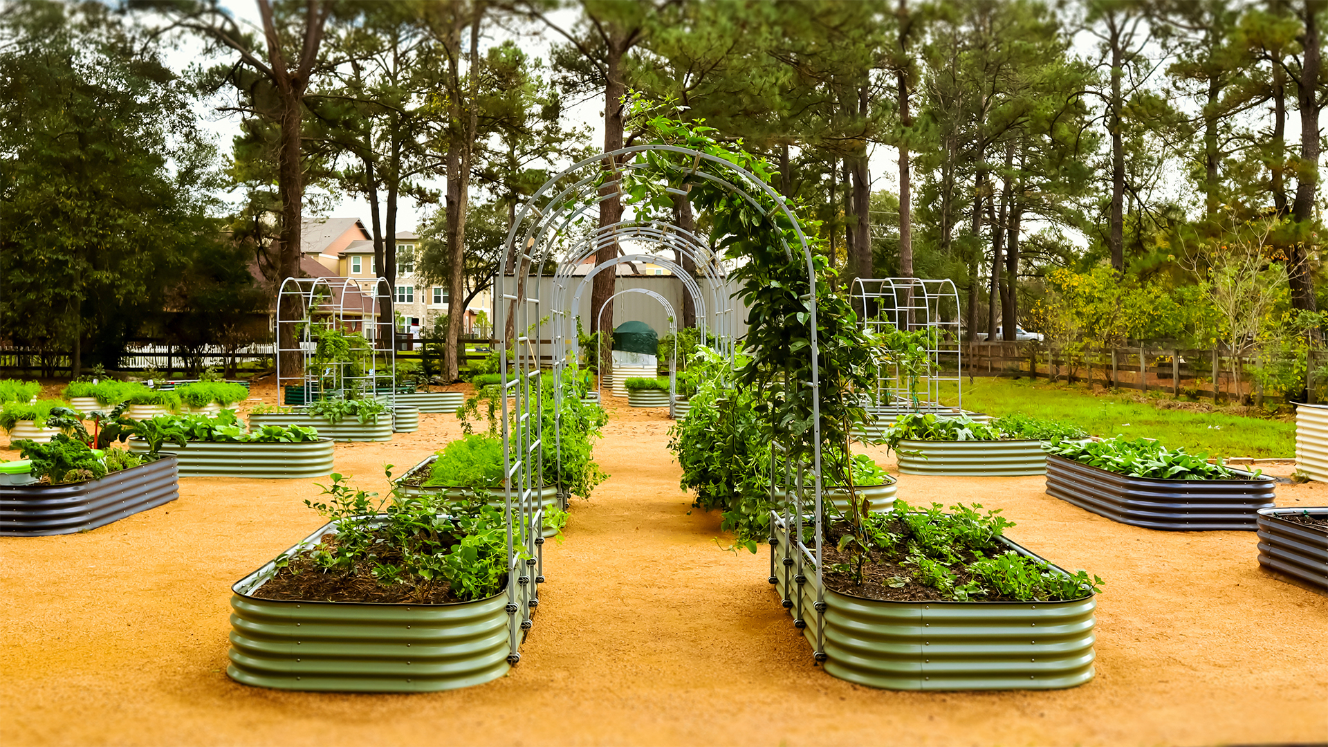 Vego Garden's Raised Beds and Planters Are Stylish, Sustainable, and ...