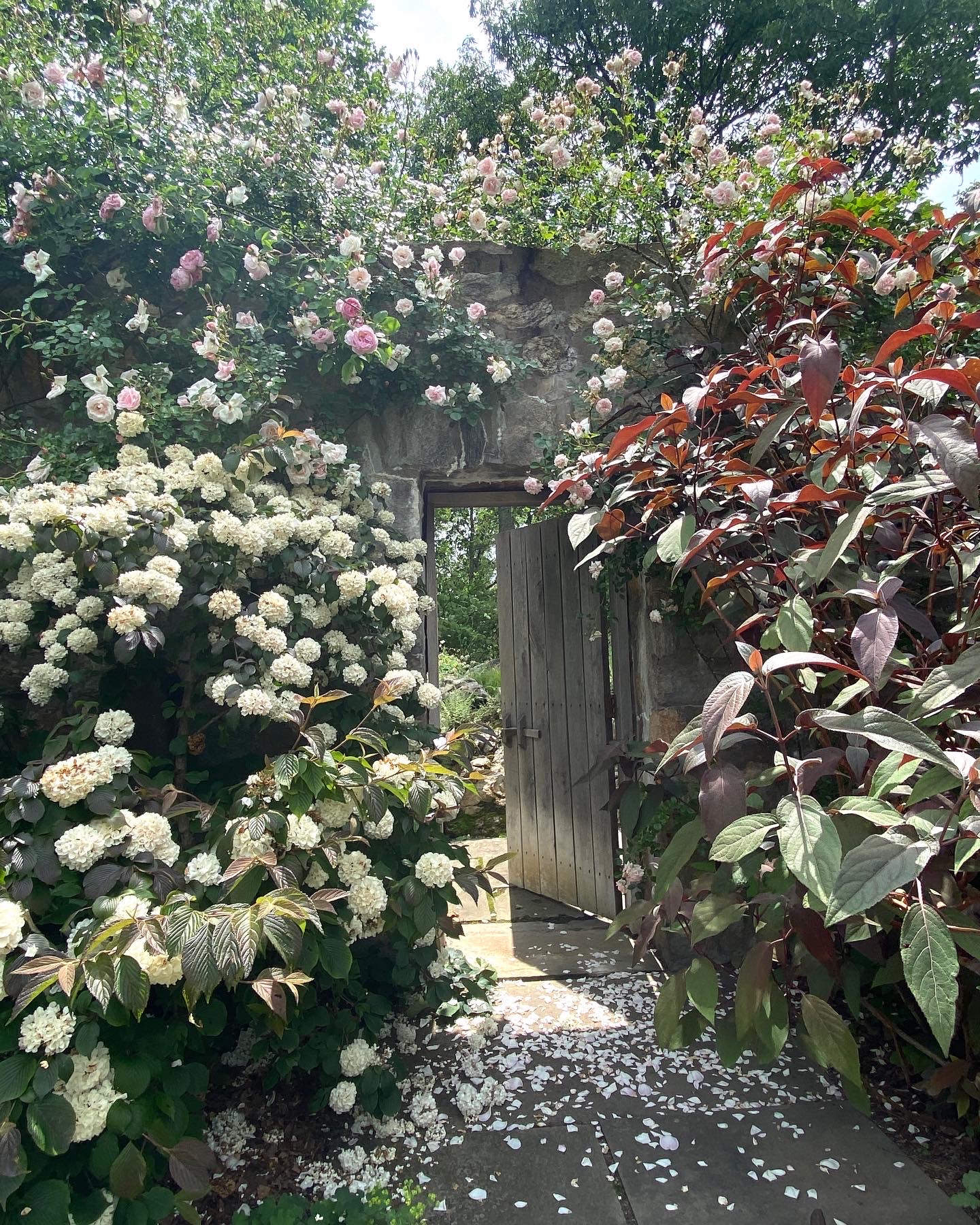 Lindsey Taylor: An Interview with the Garden and Floral Designer